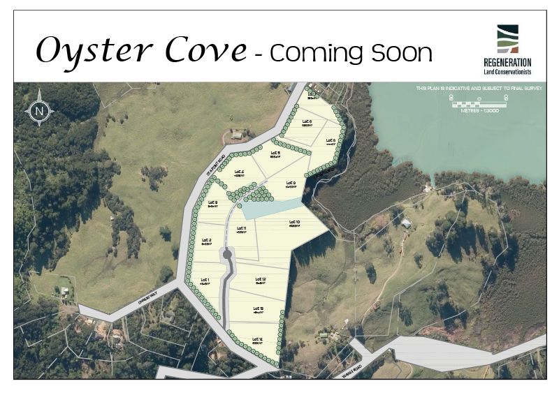 Oyster Cove | Regeneration Land Conservationists